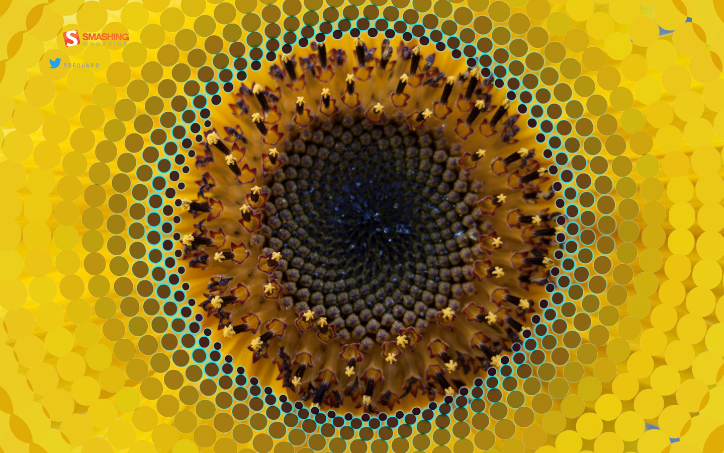 Desktop Wallpaper Calendars: October 2016 — Smashing Magazine